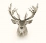 Crystal Deer Art Print – folk-stone.com