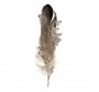 Crystal Feather Art Print – folk-stone.com