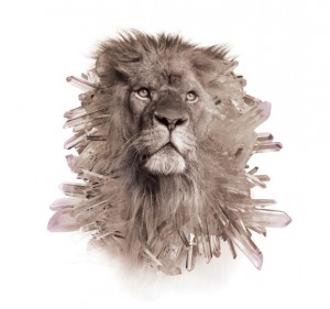 Crystal Lion Art Print – folk-stone.com
