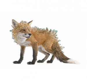 Crystal Fox Art Print – folk-stone.com