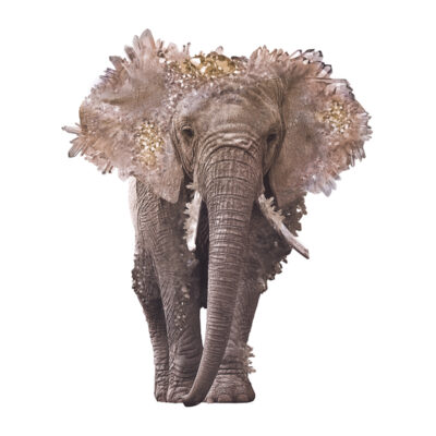 folk-stone.com – Folkstone | Hand Collected Crystals | Crystal Art